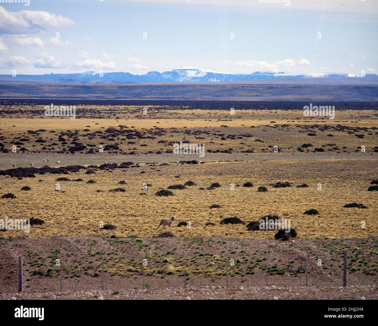 Frontera de chile hi-res stock photography and images - Alamy