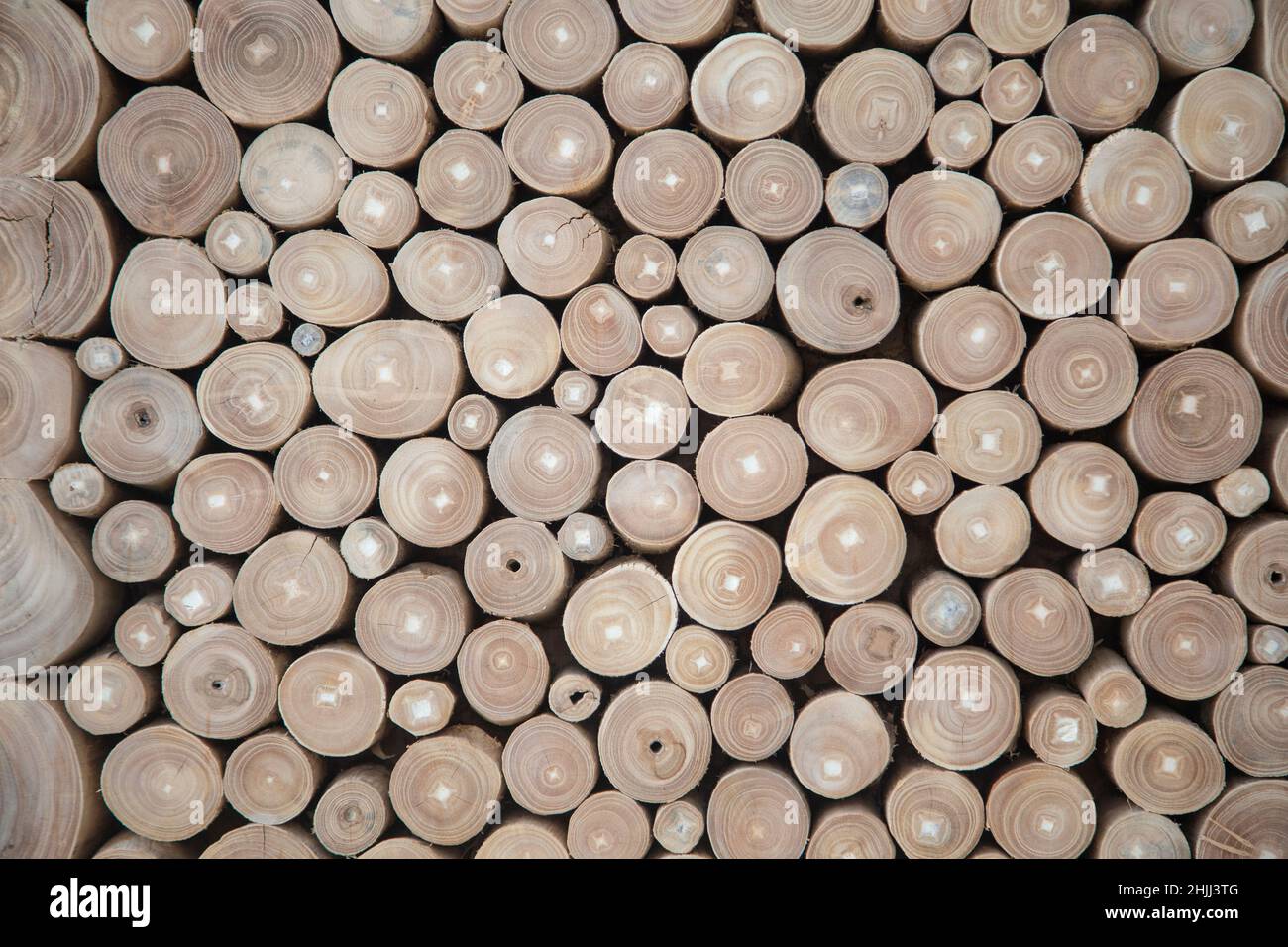 Log ends, stacked and cut Stock Photo - Alamy