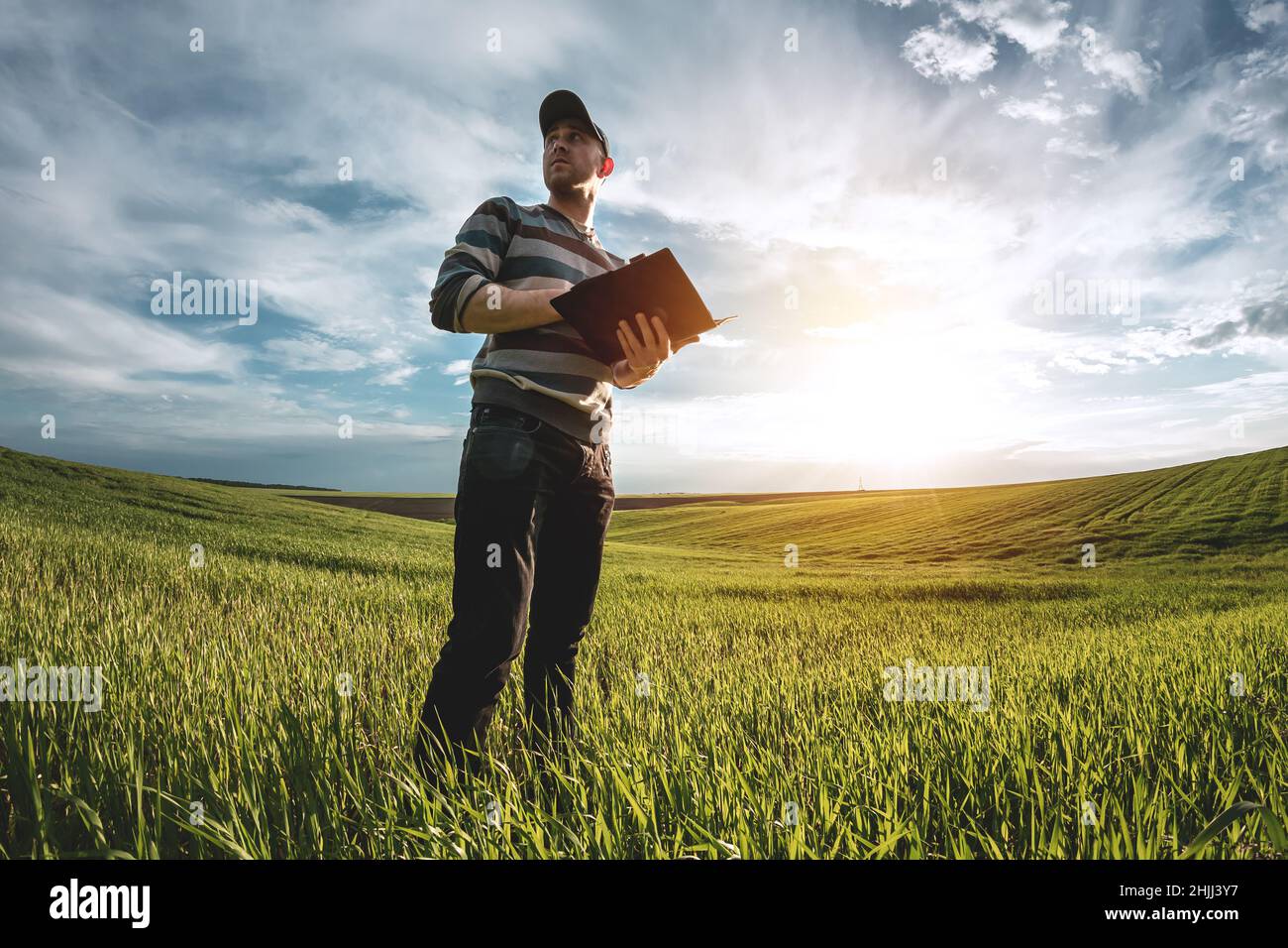 Soybean field hands hi-res stock photography and images - Alamy