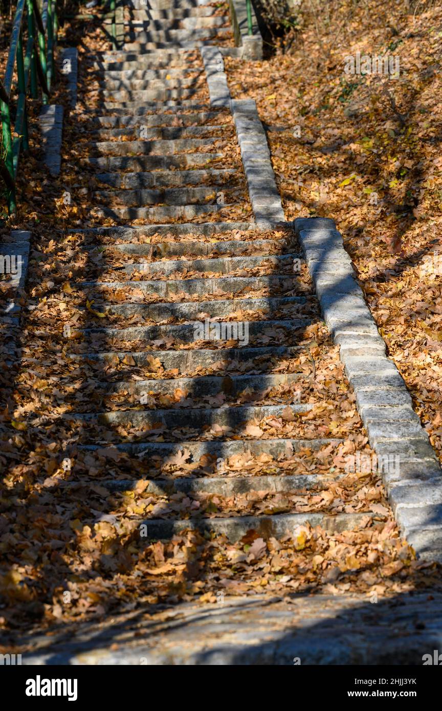 A steep and long stairway with granite brick steps leads up a hill and ...