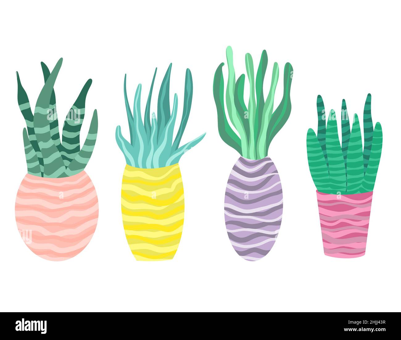 Set of stylized house flowers in pots. Home flower in pot illustration ...