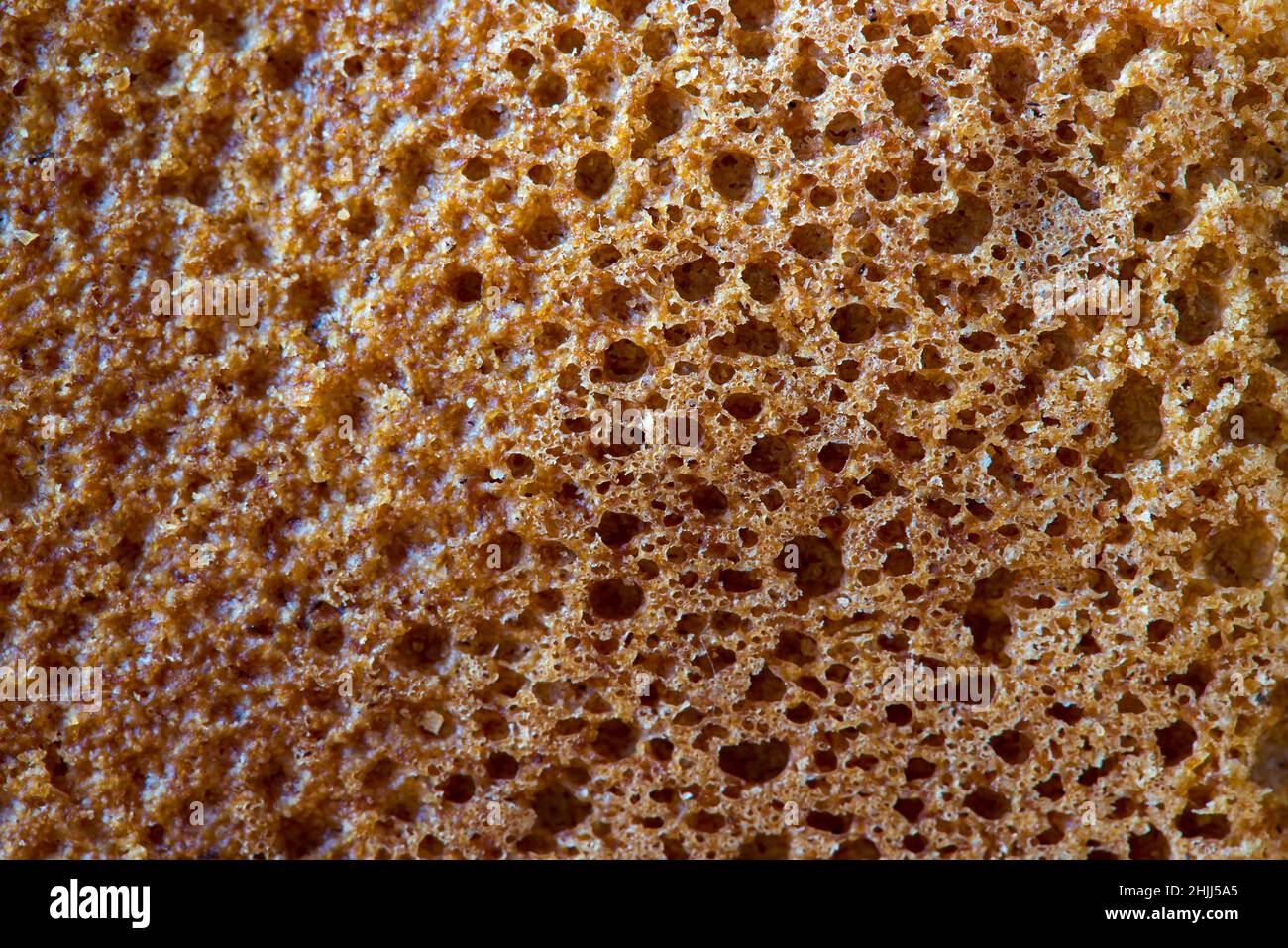 High resolution brown bread texture background. Texture of brown bread ...