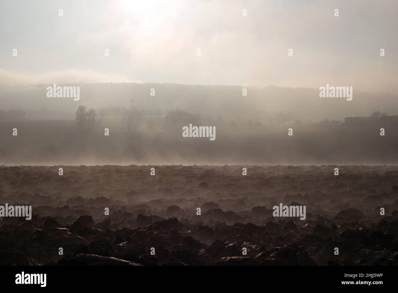 Paddy fields in winter hi-res stock photography and images - Alamy