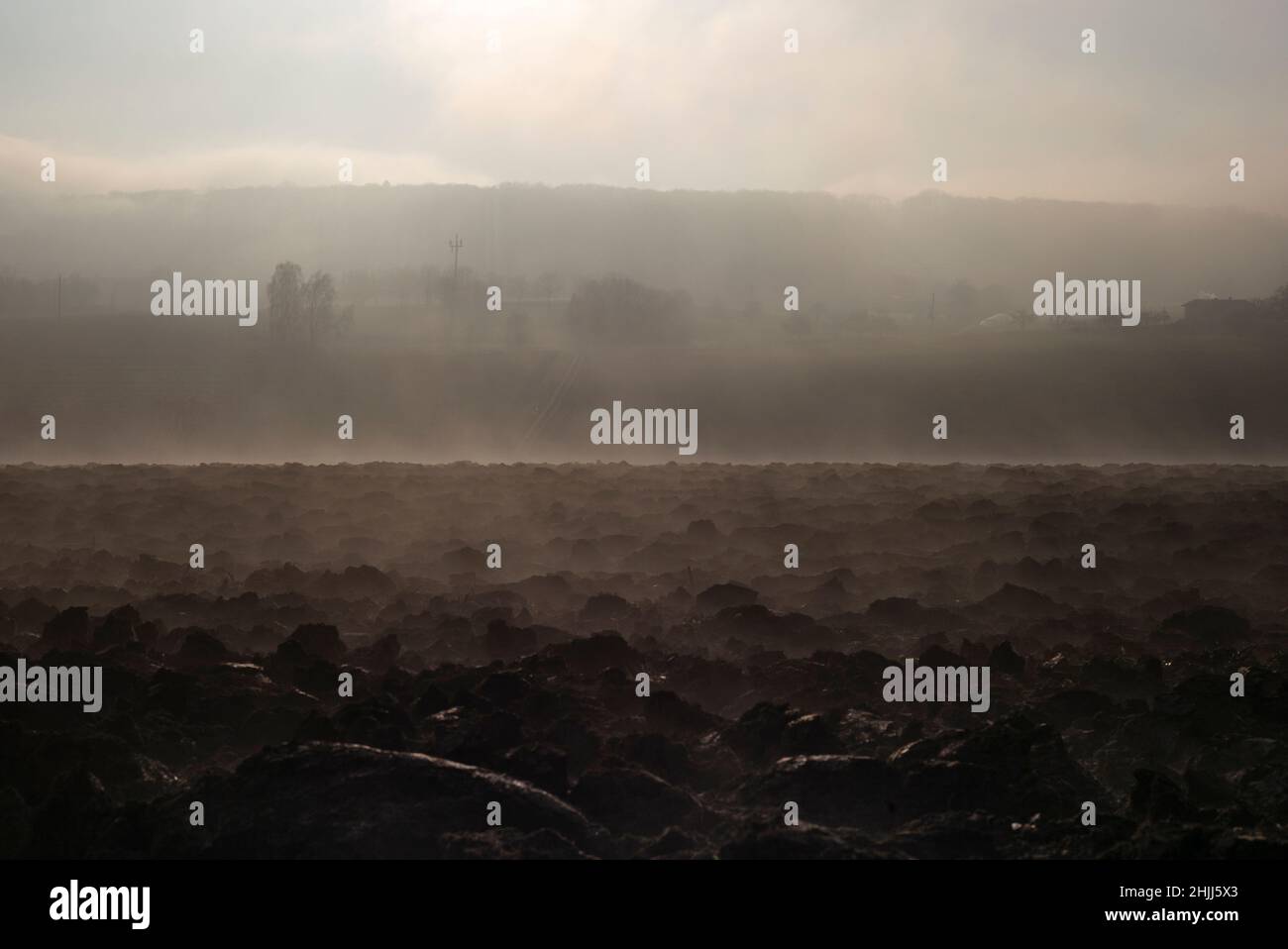 Paddy fields in winter hi-res stock photography and images - Alamy