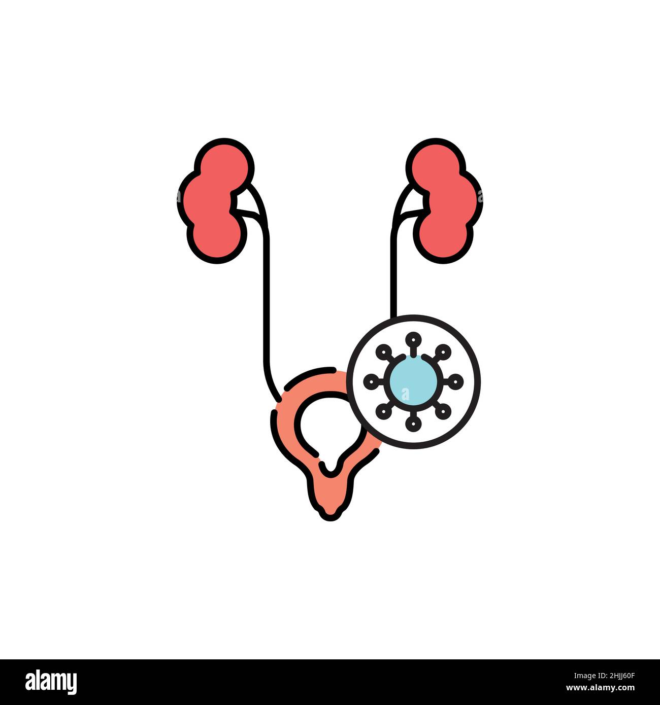 Genitourinary system virus disease color line icon. Pictogram for web ...