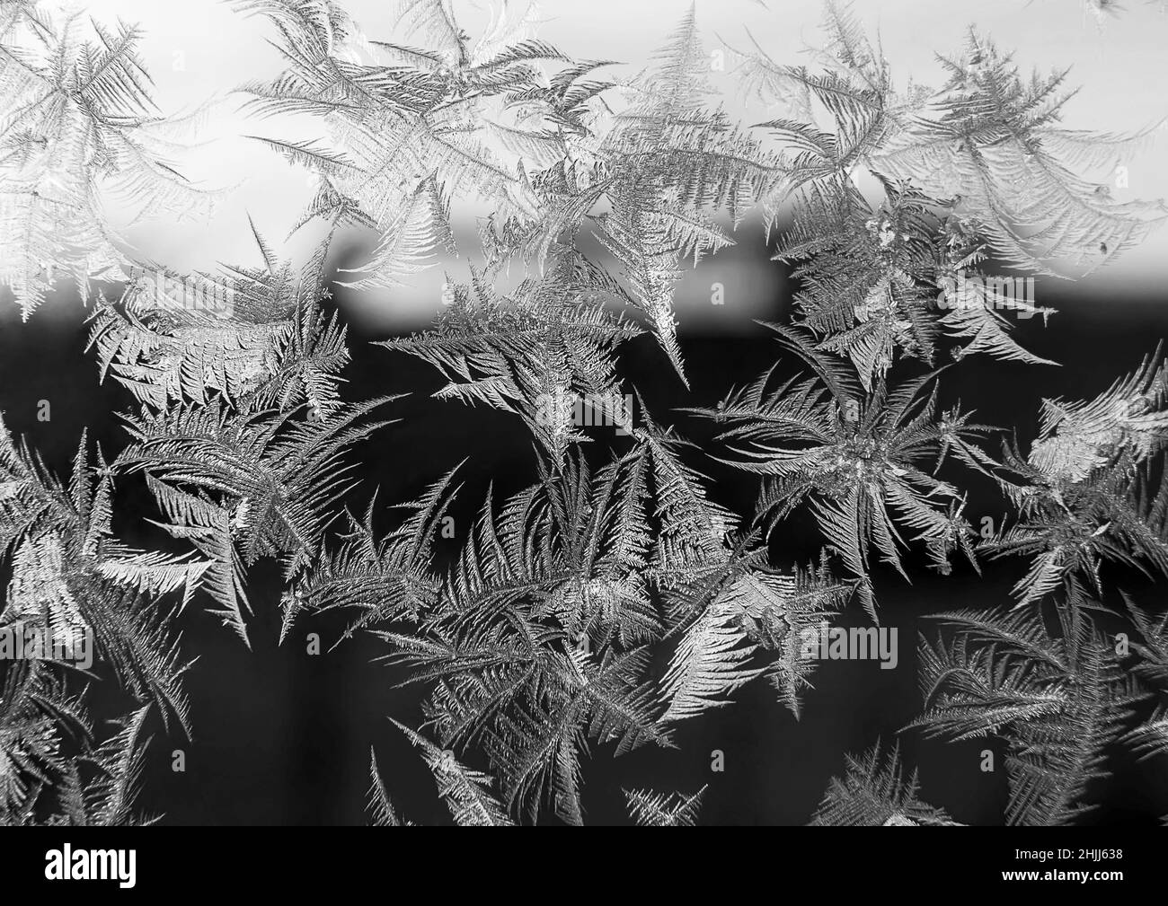 Beautiful natural frosty pattern on winter window. Ice pattern in ...