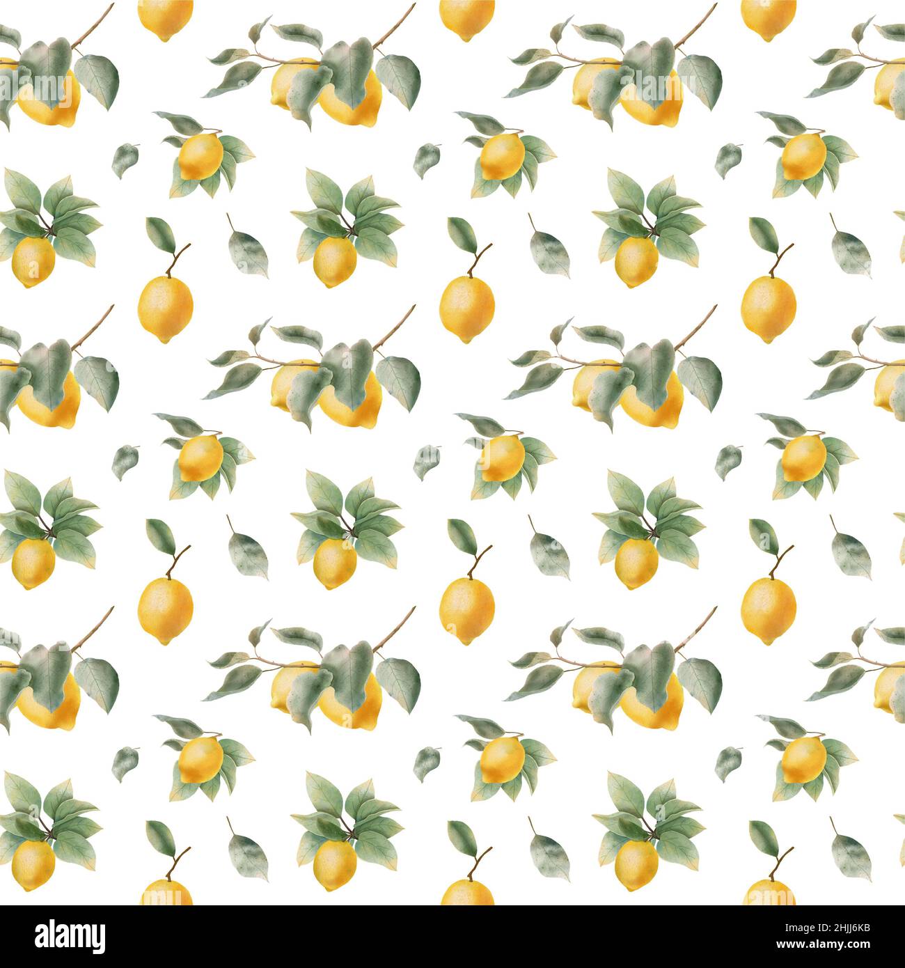 Lemon seamless pattern. Leaves, branches and fruits of lemon. The ...