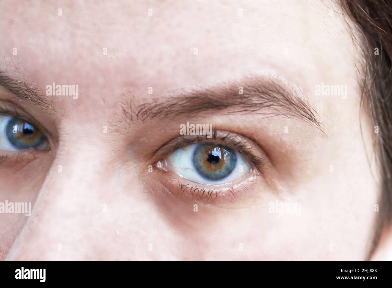 Close-up of the eyes. Surprised look, raised eyebrow Stock Photo - Alamy