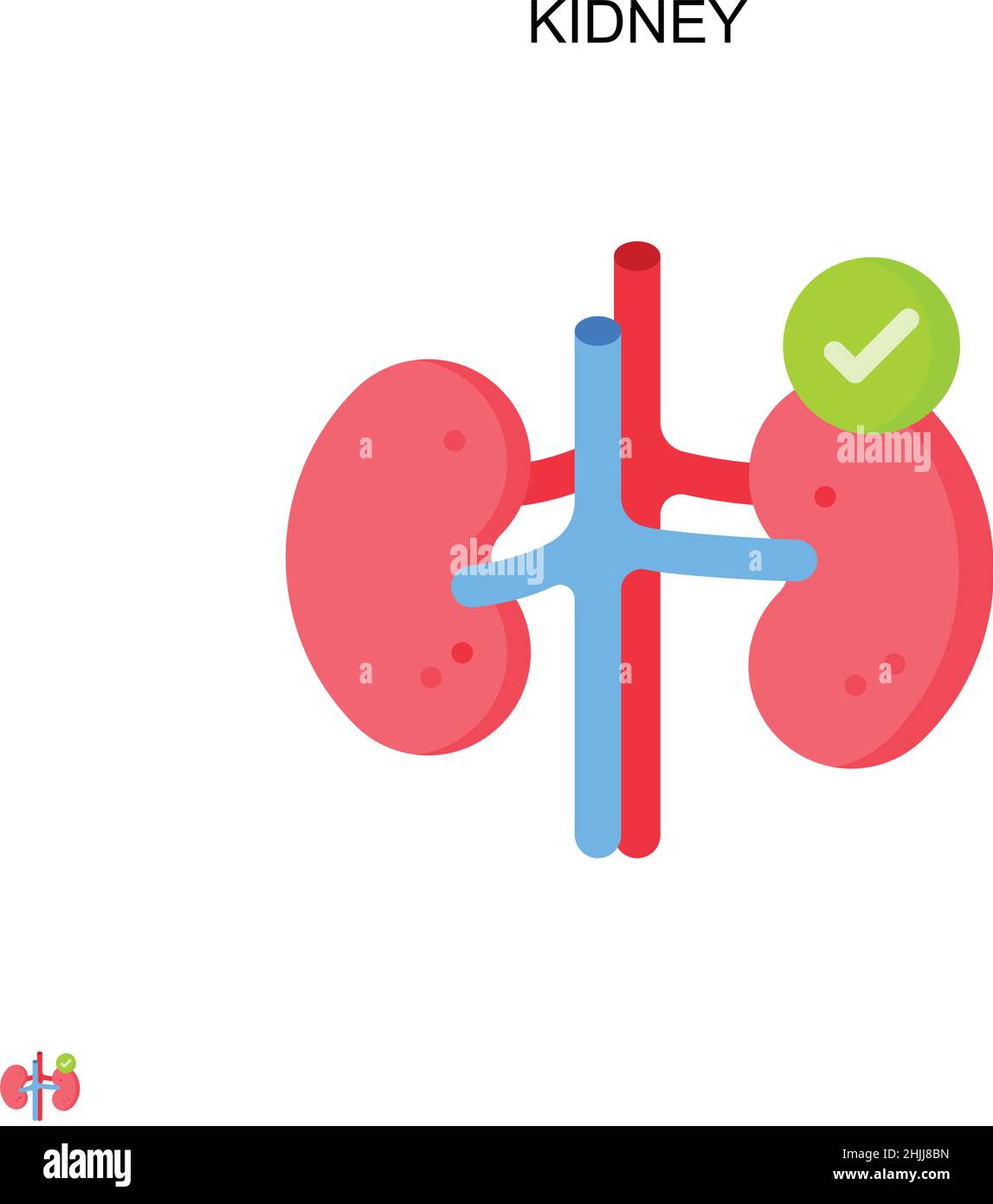 Kidney Simple vector icon. Illustration symbol design template for web ...