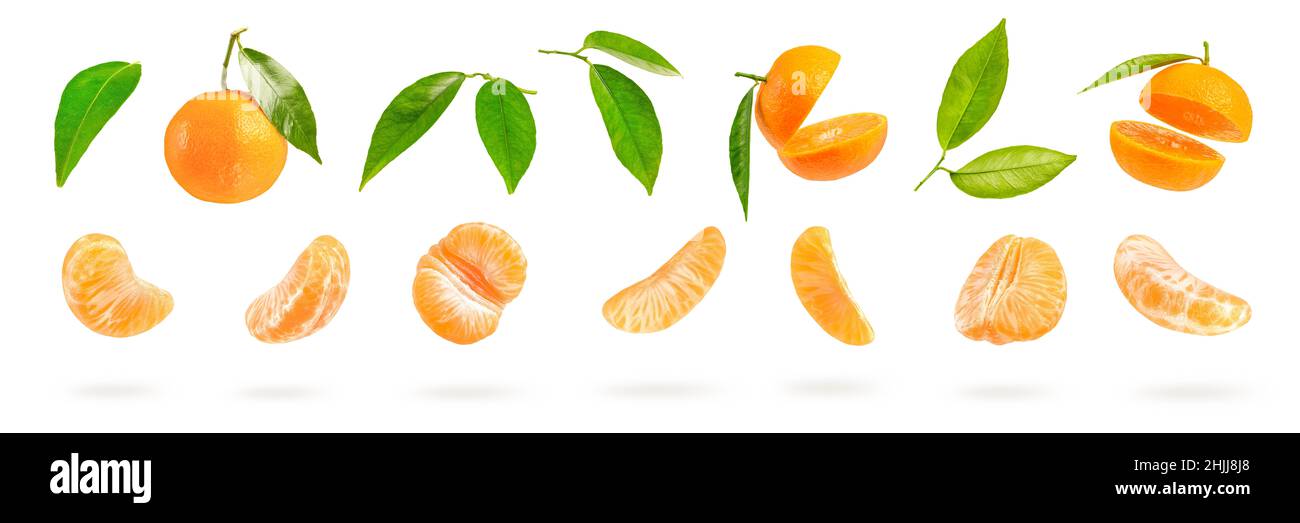 Big set of tangerine parts, different tangerine segments isolated on ...