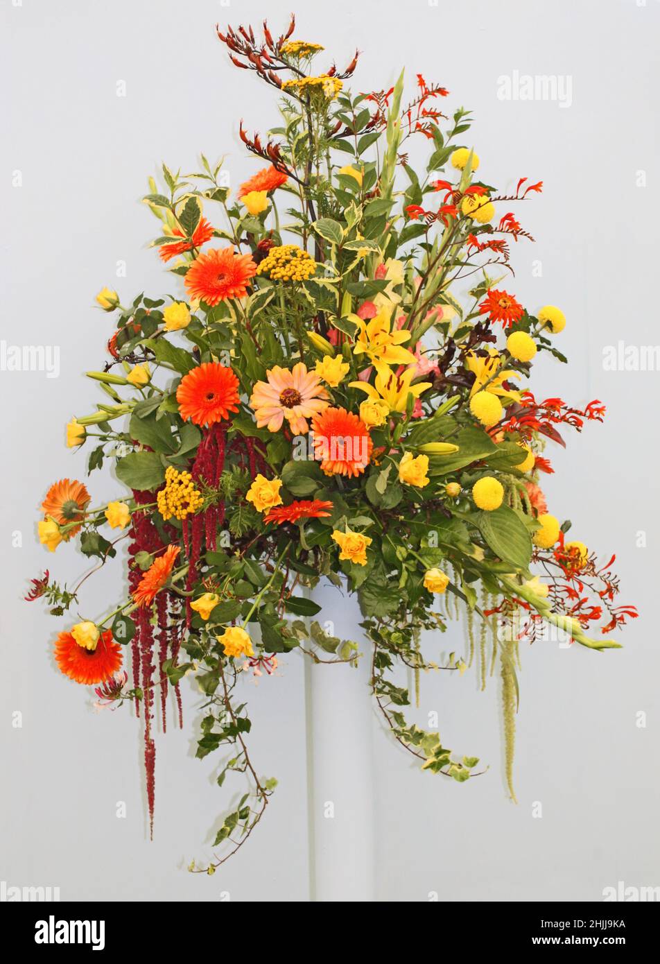 Spectacular display plants hi-res stock photography and images - Alamy