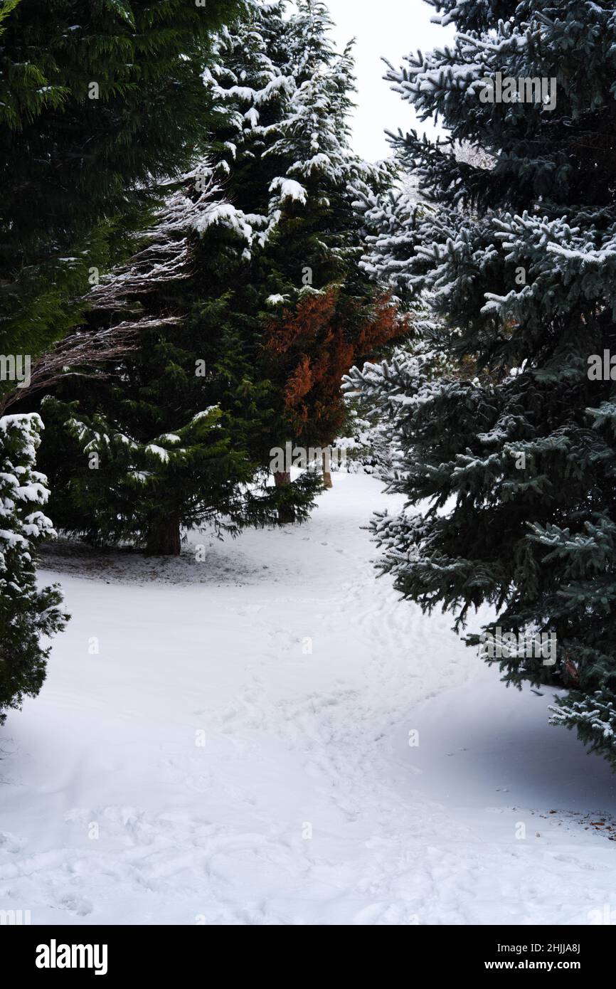 Activities in the snow hi-res stock photography and images - Alamy