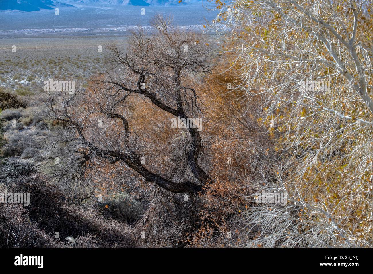 Encompassing six major mountain ranges and seven distinct life zones ...