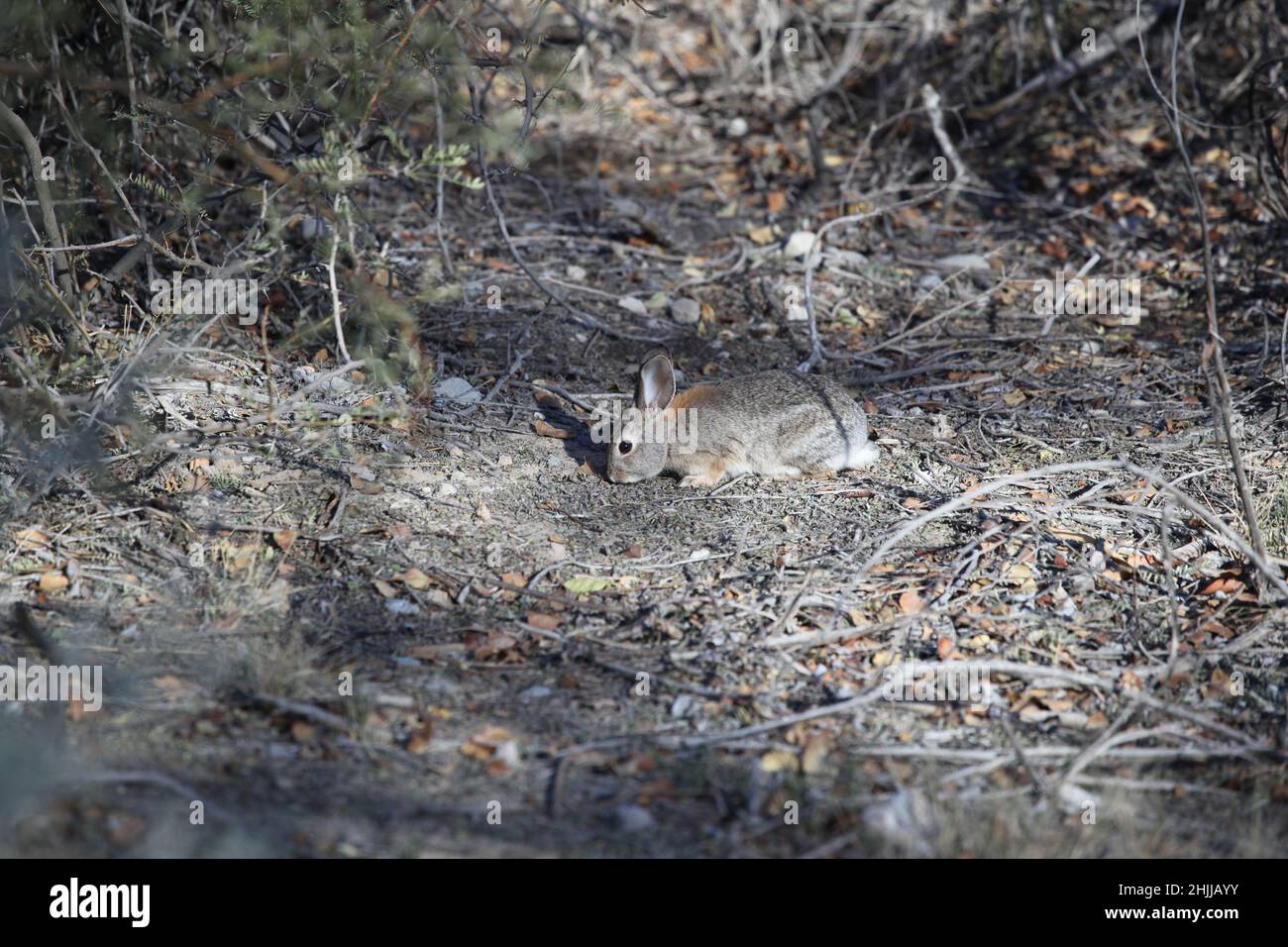 Encompassing six major mountain ranges and seven distinct life zones ...