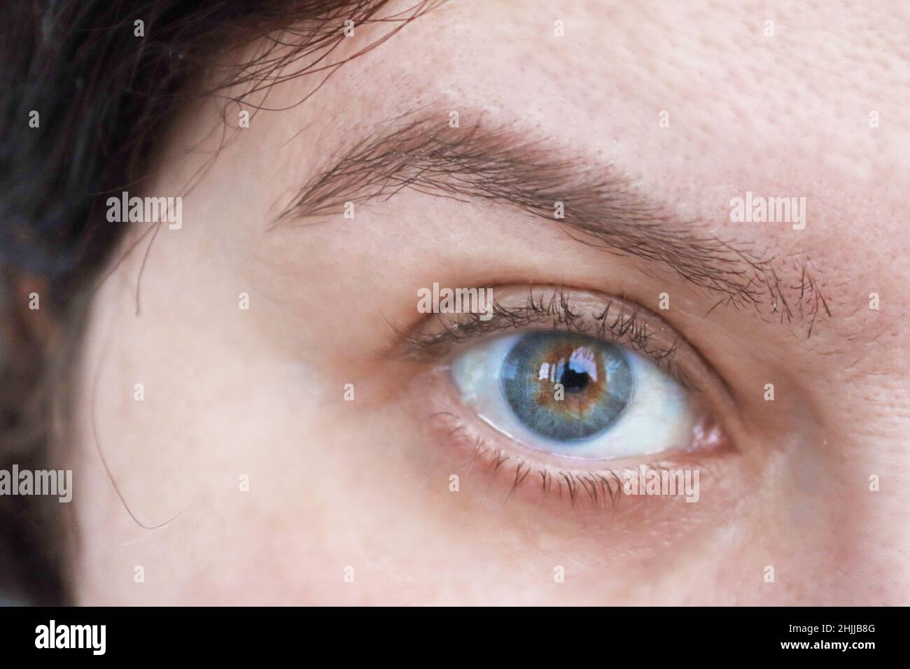 Close-up of the eye. Surprised look, raised eyebrow Stock Photo - Alamy