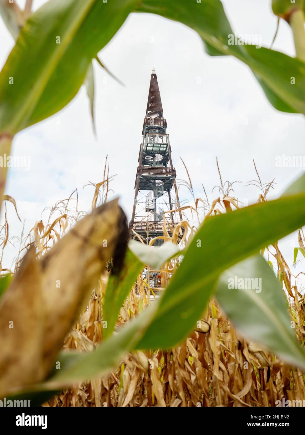 Glassy platform hi-res stock photography and images - Alamy
