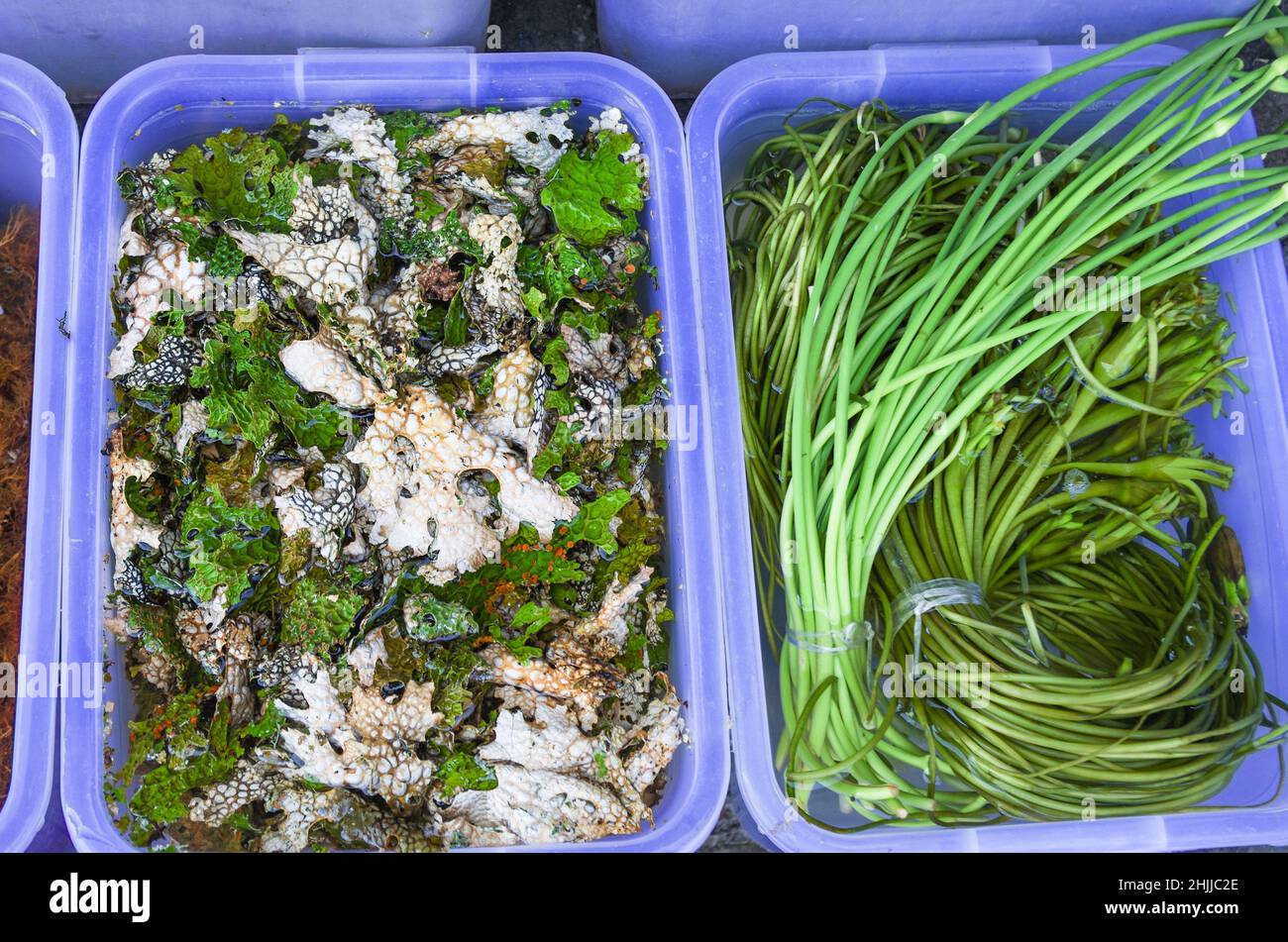 Yunnan vegetable hi-res stock photography and images - Alamy