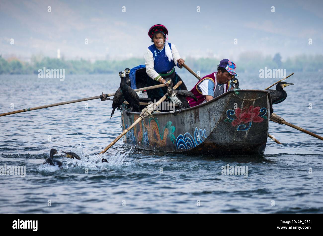 Asia, China, Yunnan, Dali, Erhai Lake, cormoran fishing Stock Photo - Alamy