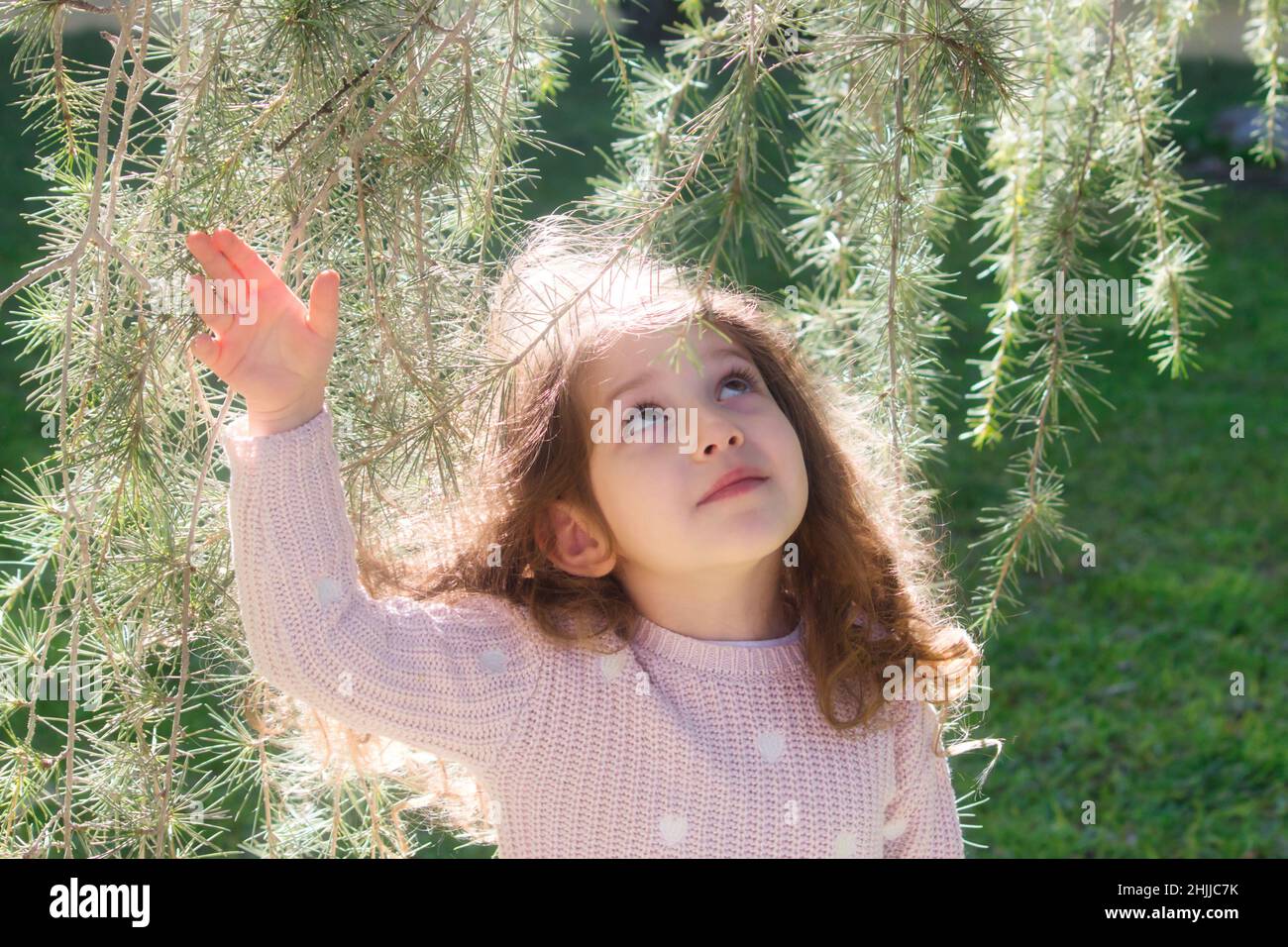 Adorable little girl under the shiny leaves of a tree in the sun Stock ...