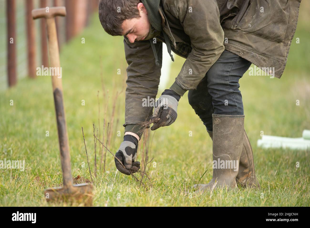 Tree planting uk farmer hi-res stock photography and images - Alamy