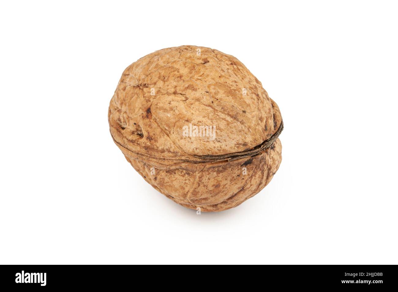 Walnut isolated on a white background Stock Photo - Alamy