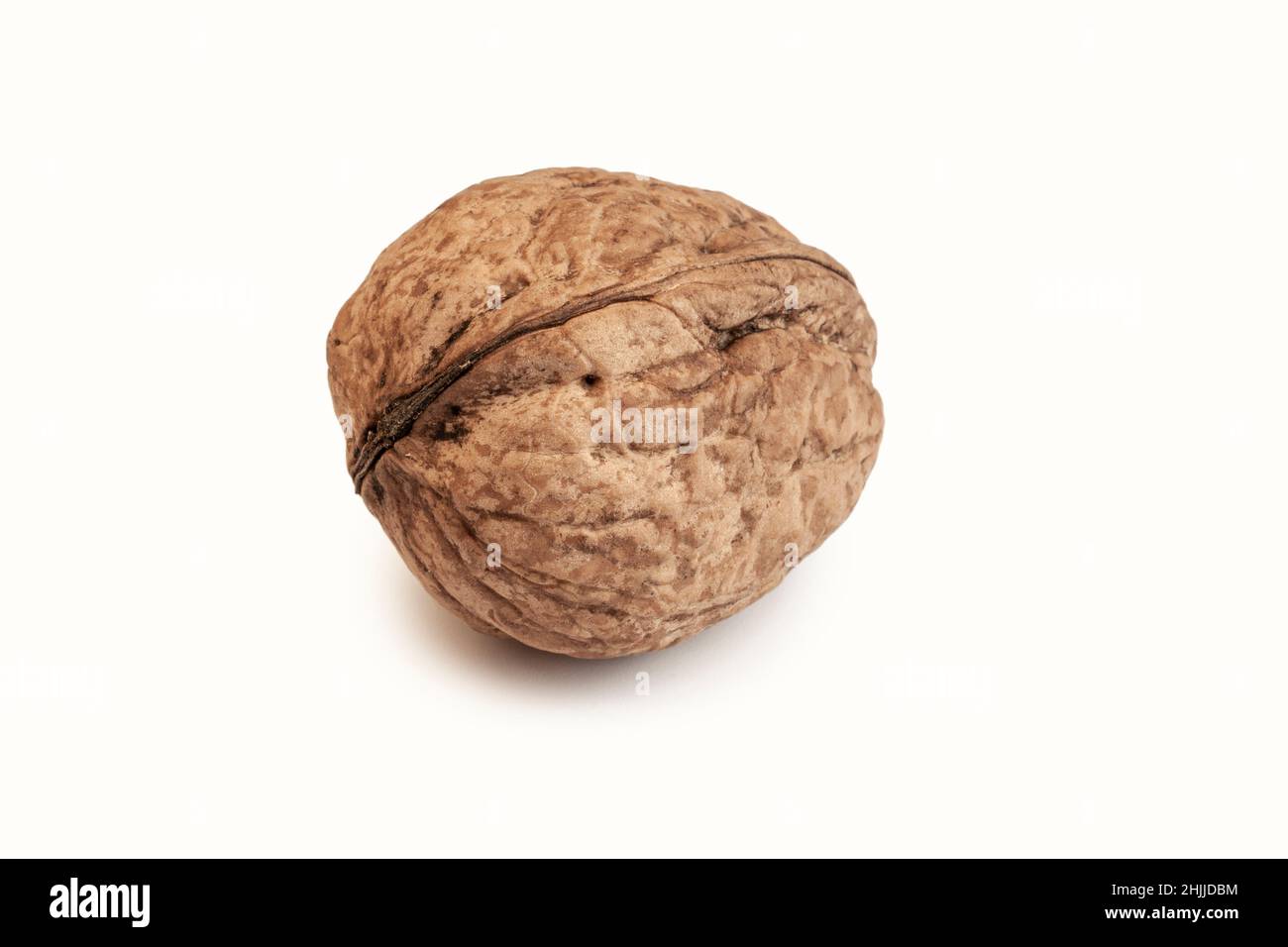 Walnut isolated on a white background Stock Photo - Alamy