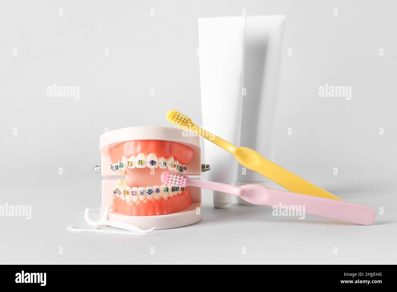 Model of jaw with braces, toothpicks, brushes and paste on white ...