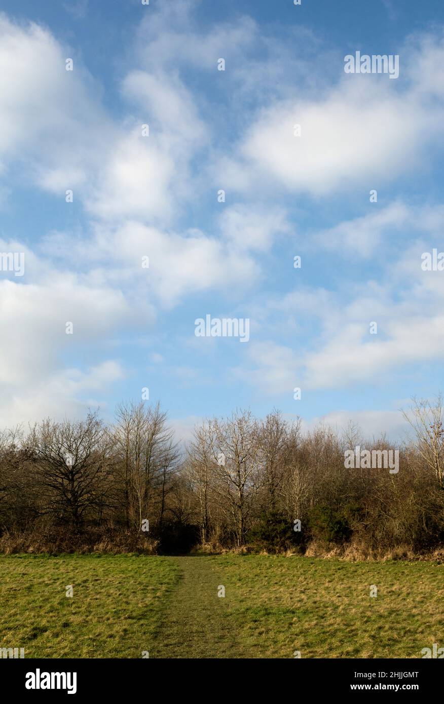 Woodgate Valley Country Park in winter, West Midlands, England, UK ...