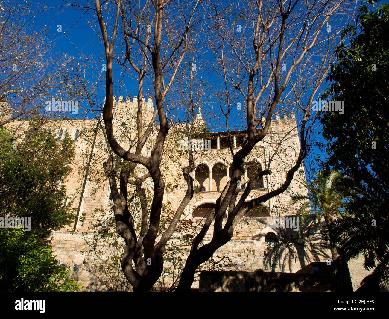 Palam mallorca hi-res stock photography and images - Alamy