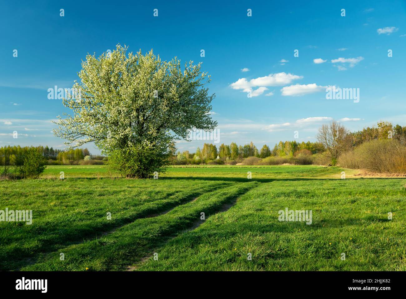 Bush road hi-res stock photography and images - Alamy