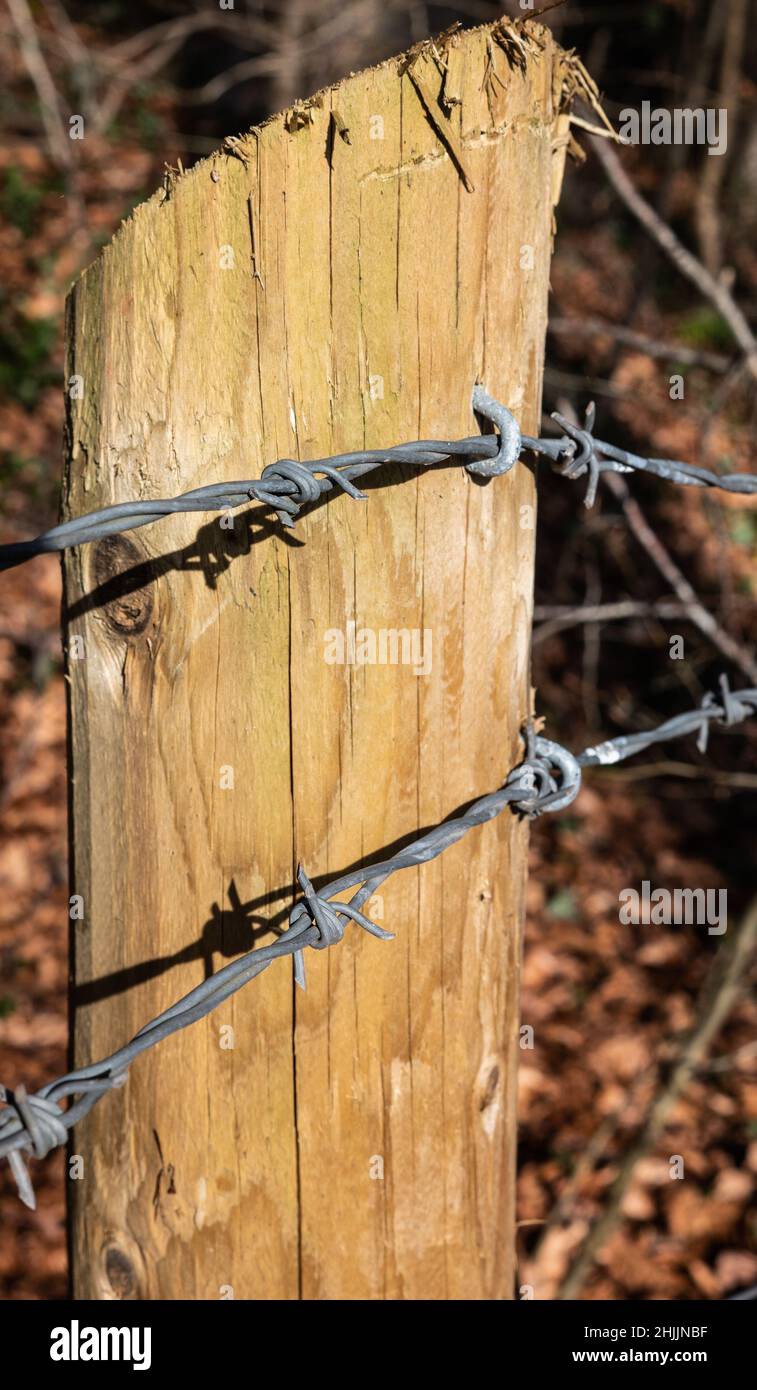 Barbed wire attached to a wooden fence post Stock Photo - Alamy