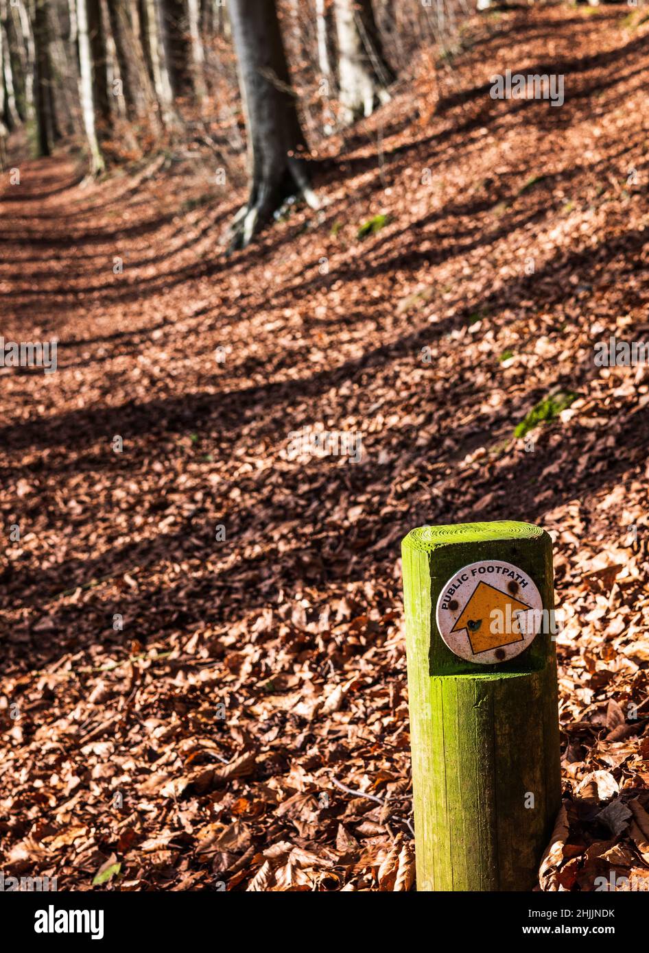 Public footpath marker in Welsh woodland Stock Photo - Alamy