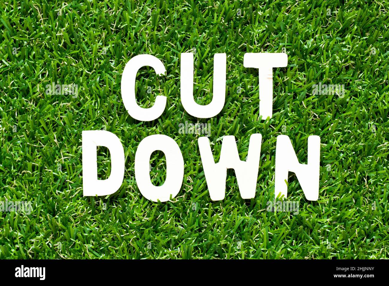 Wood alphabet letter in word cut down on green grass background Stock ...