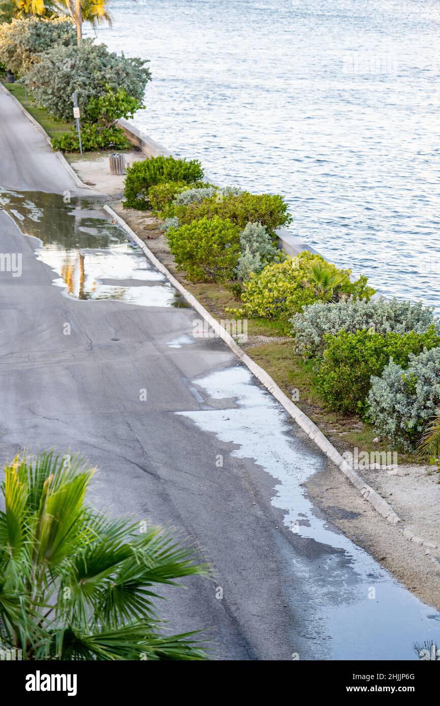 Water level rise causing flooding by the Intracoastal in Hollywood FL ...