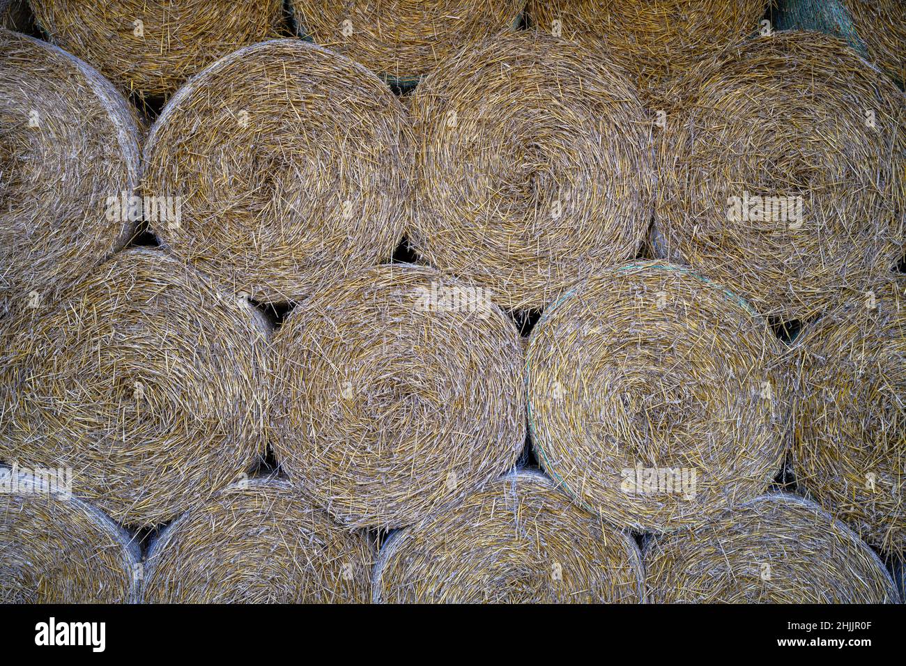 Stacked round hay bails hi-res stock photography and images - Alamy