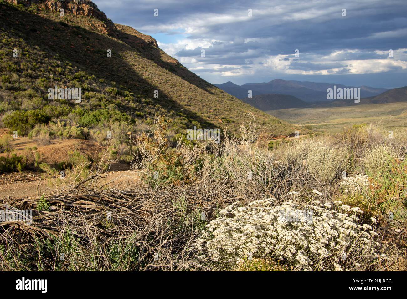 Landscape in the Central Karoo region in South Africa Stock Photo - Alamy