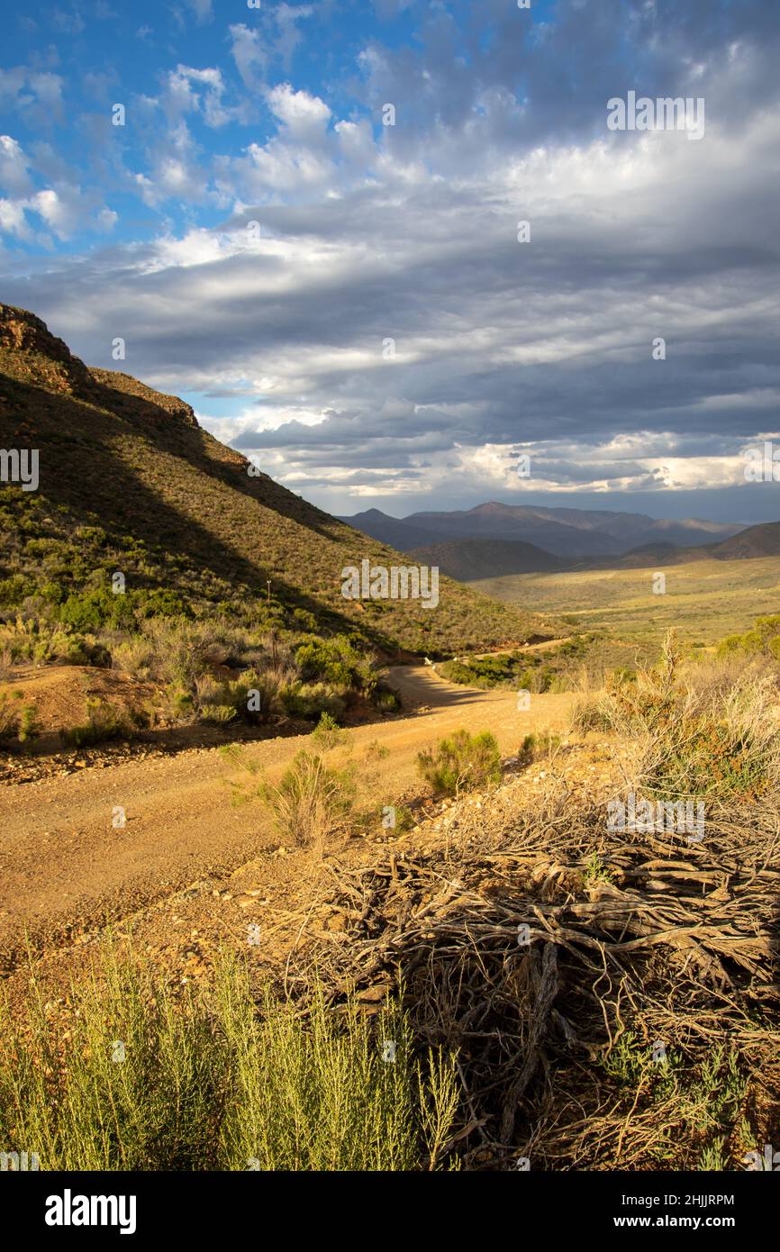 Landscape in the Central Karoo region in South Africa Stock Photo - Alamy