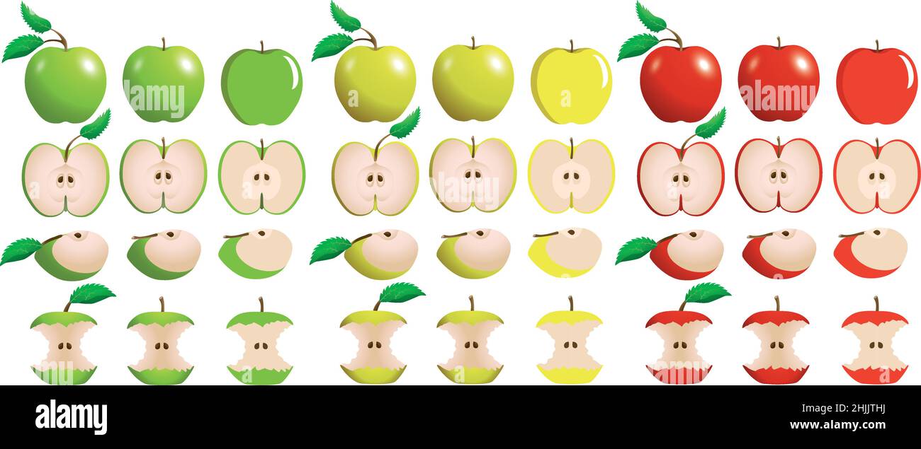 Vector illustration. Slices and bitten apples. Gradient and solid color ...