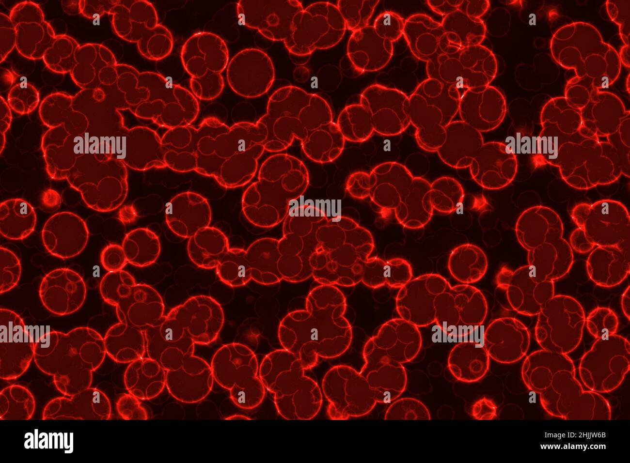 design beautiful red big amount of organic cells computer graphics ...