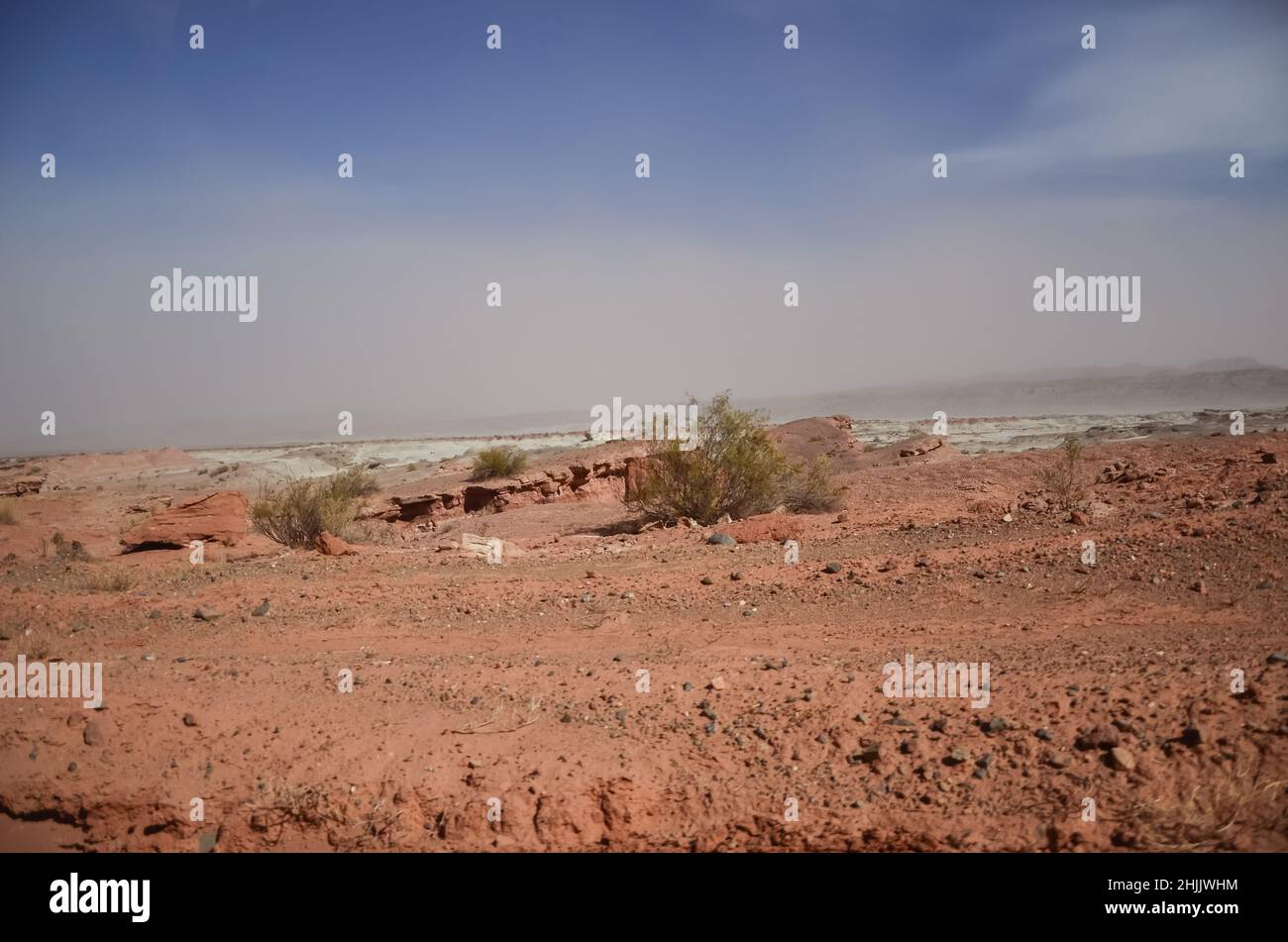 The dry arid desert landscape of the Moon Valley in Argentina Stock ...