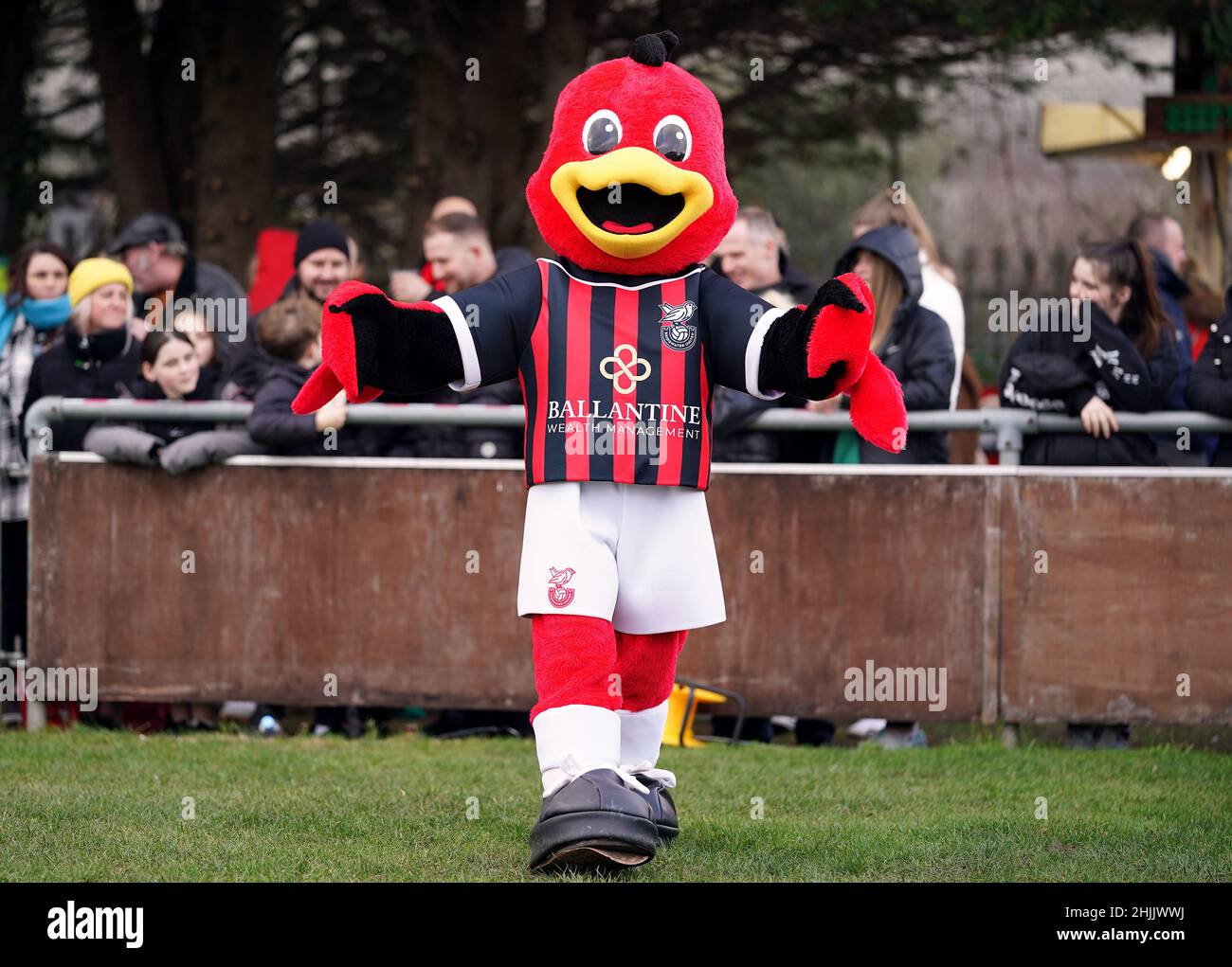 Manchester united mascot 2022 hi-res stock photography and images - Alamy