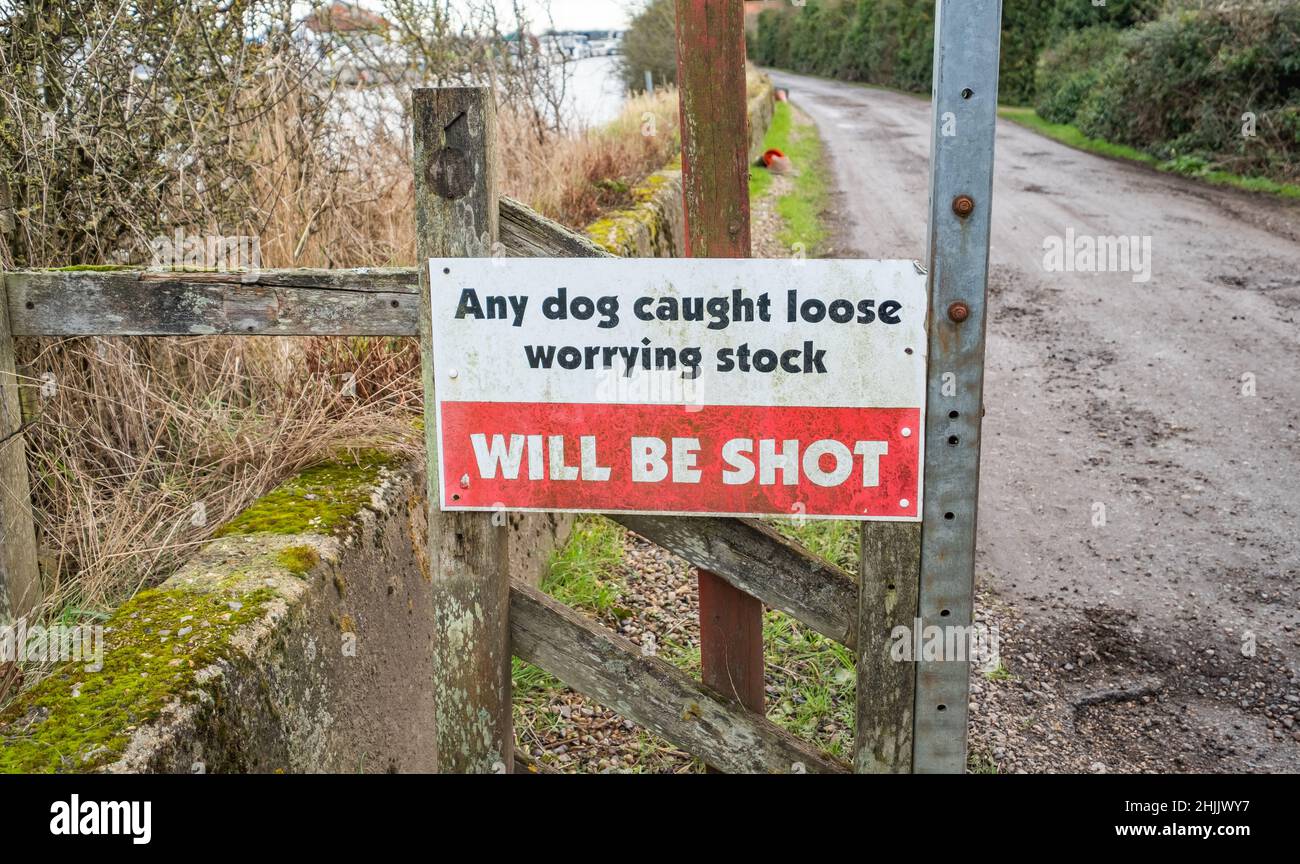 Sign warning dog owners of severe consequences in not keeping their ...