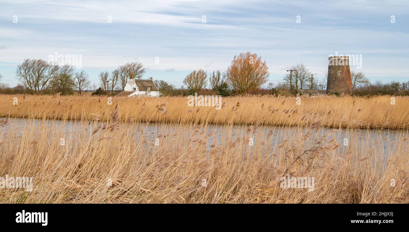 Abandoned drainage mill and house on the bank of the River Bure in ...