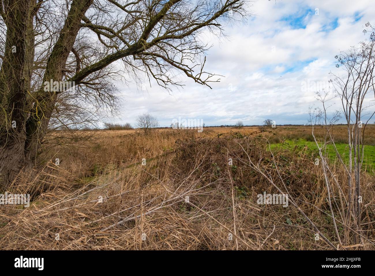 The Norfolk countryside on a bright but breezy winter’s day Stock Photo ...