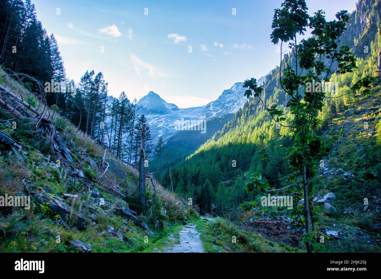 Alpine footpath with Trient glacier in distance, Valais, Switzerland ...
