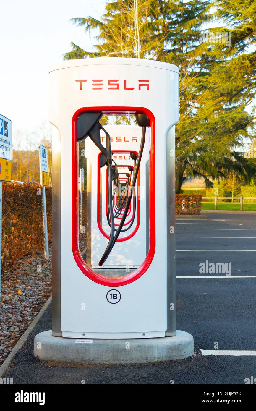 Row of Tesla Superchargers vehicle electric charging point at Trentham ...