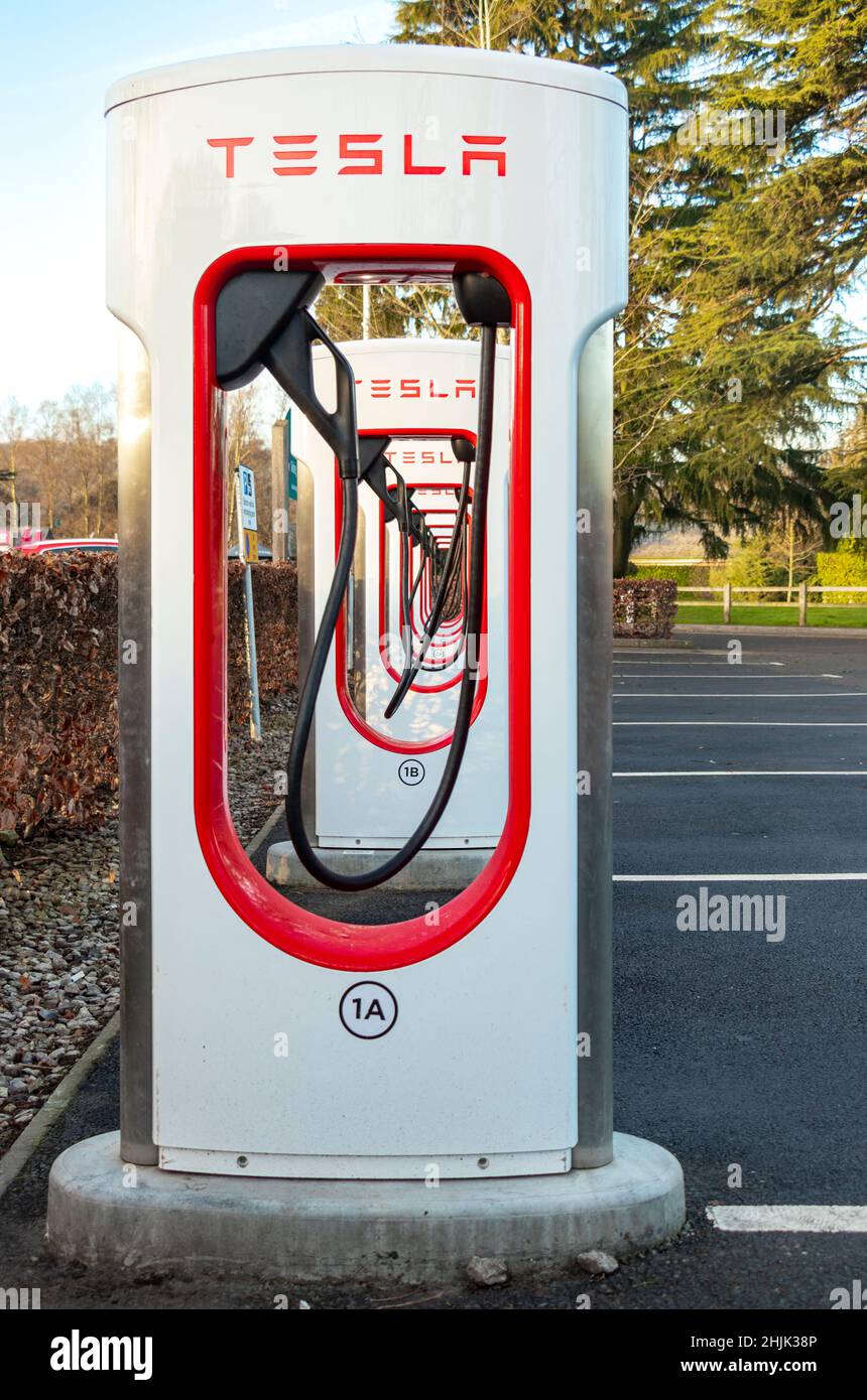 Row of Tesla Superchargers vehicle electric charging point at Trentham ...