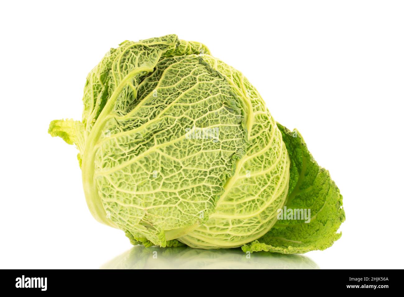 One cabbage of organic Savoy cabbage, macro, isolated on white Stock ...