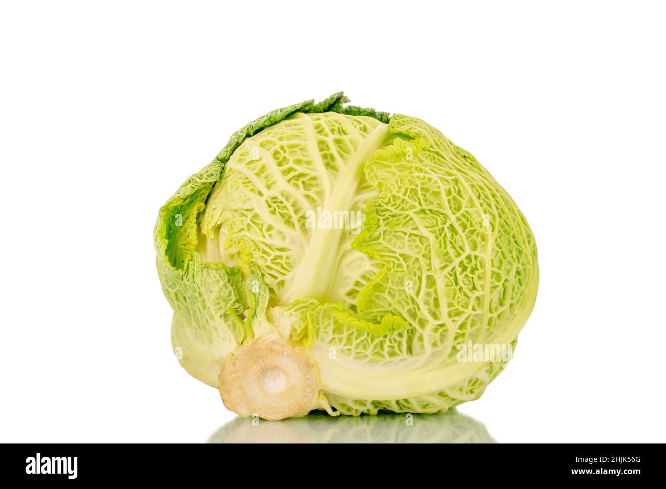 One cabbage of organic Savoy cabbage, macro, isolated on white Stock ...
