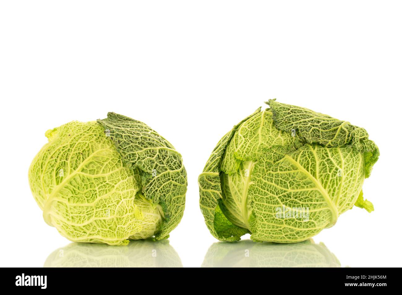 Cabbage white macro hi-res stock photography and images - Alamy